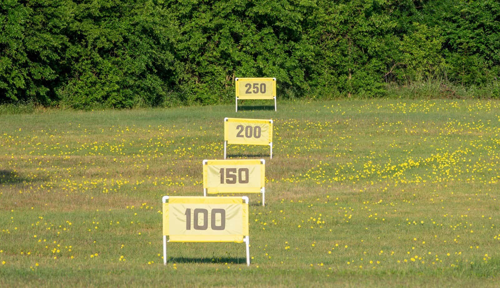 Long Drive Competitions: Balls, Clubs & Info To Know